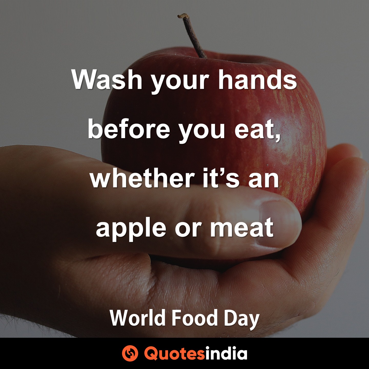 World Food Day | Wishes | Quotes | Wallpaper - Quotes India